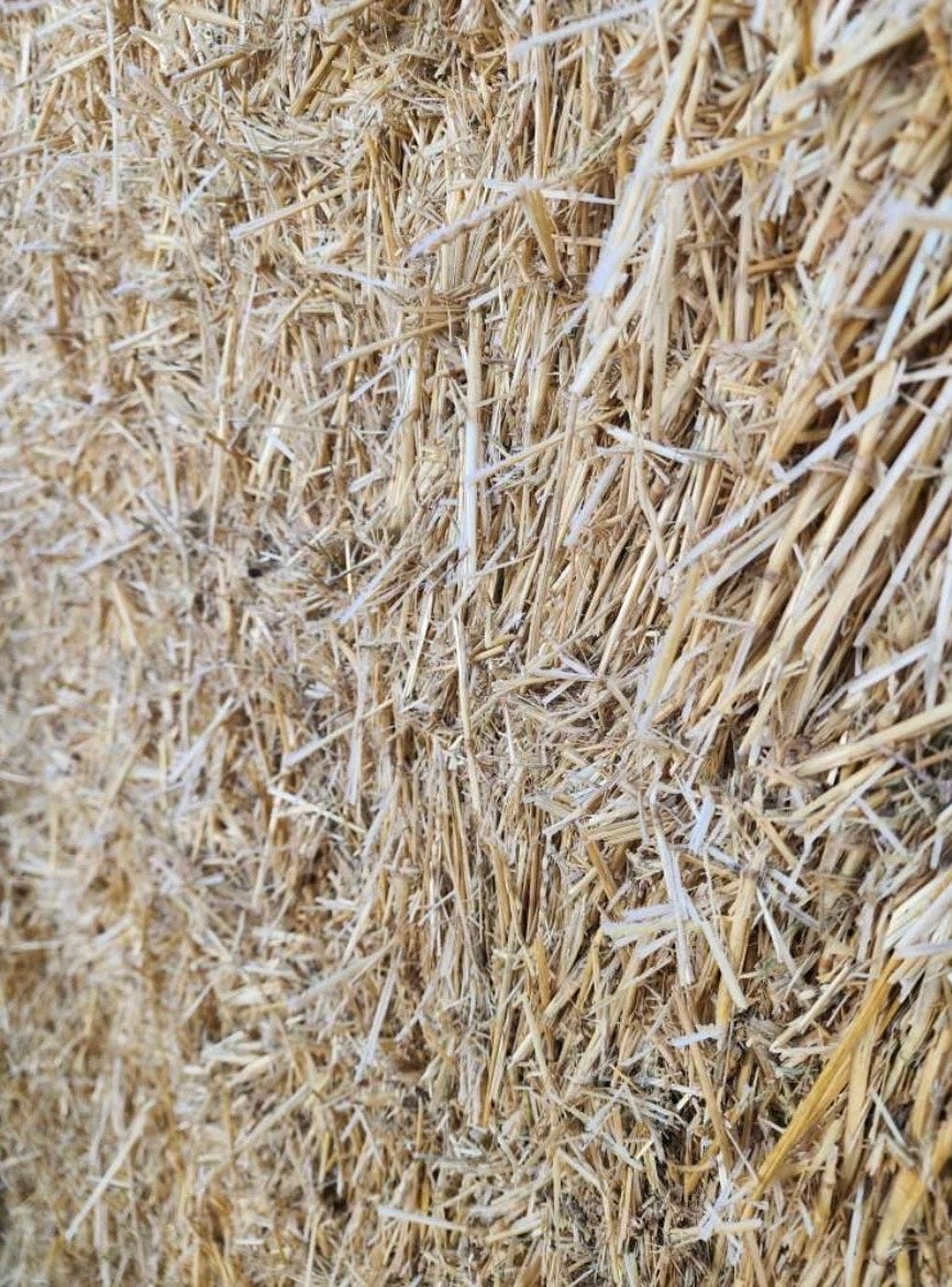 Straw Bales – McFarland Family Farms